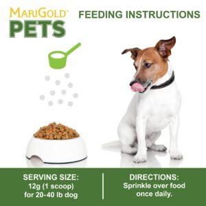 MariGold JIG for Dogs - Joint, Immunity & Gut Support Powder, Non-GMO, Organic Peanuts, Organic Hemp, Grain and Soy Free - 1.19 LBS (Medium)