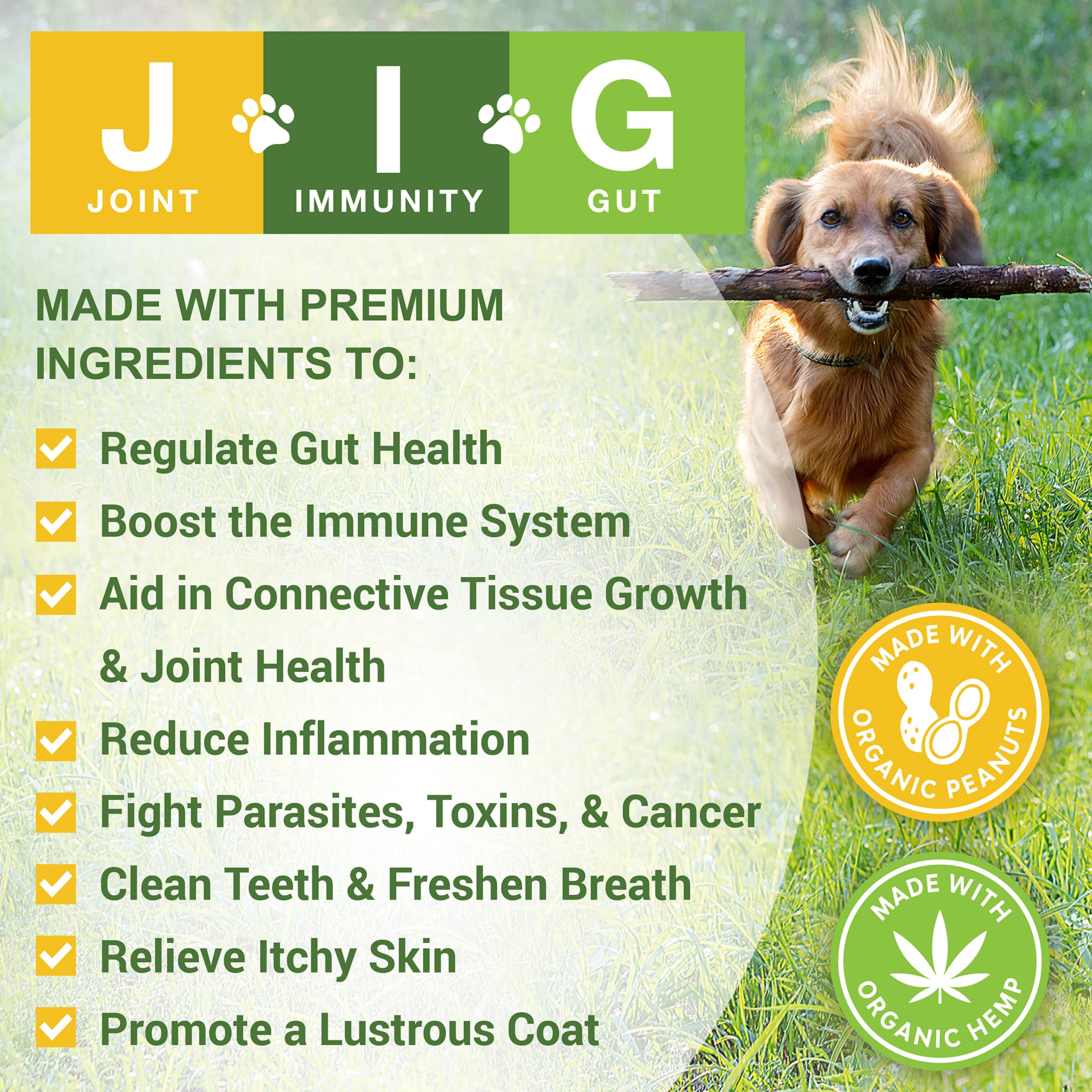 MariGold JIG for Dogs - Joint, Immunity & Gut Support Powder, Non-GMO, Organic Peanuts, Organic Hemp, Grain and Soy Free - 1.19 LBS (Medium)