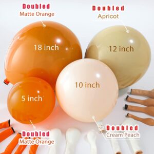 Burnt Orange Balloons Garland Arch Kit - Double Stuffed Matte Orange Cream Peach Apricot Terracotta Latex Balloon Different Sizes 18 12 10 5In Fall Ballon for Baby Shower Gender Reveal Party Holiday