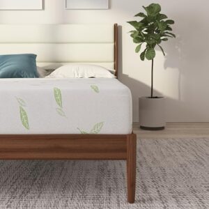 NapQueen Queen Size Mattress, 6 Inch Anula Green Tea Infused Memory Foam Mattress, Queen Size Mattress Bed in a Box, CertiPUR-US Certified Mattress