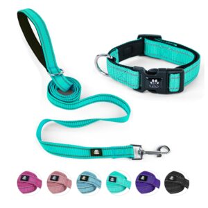 nestroad reflective dog collar and leash set,soft neoprene pet collar with quick release buckle,adjustable nylon dog collars for small medium large dogs(medium collar + 5ft leash,teal)