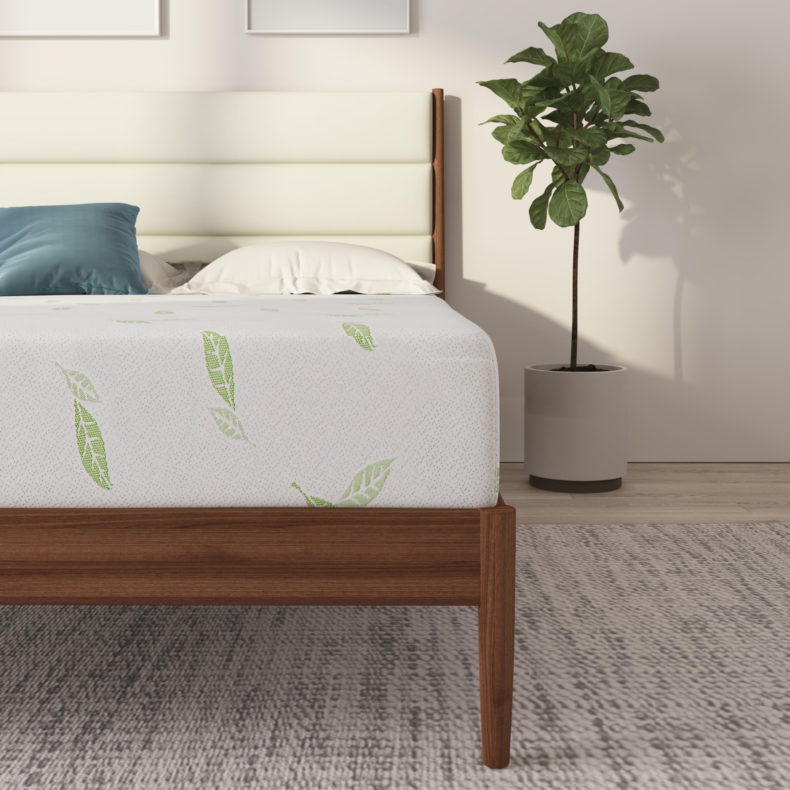 NapQueen Queen Size Mattress, 6 Inch Anula Green Tea Infused Memory Foam Mattress, Queen Size Mattress Bed in a Box, CertiPUR-US Certified Mattress