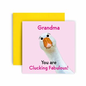 huxters birthday cards for women – fabulous goose grandma happy birthday card for birthday, mother’s day – grandma birthday card with lovely green envelope – funny birthday card (grandma)