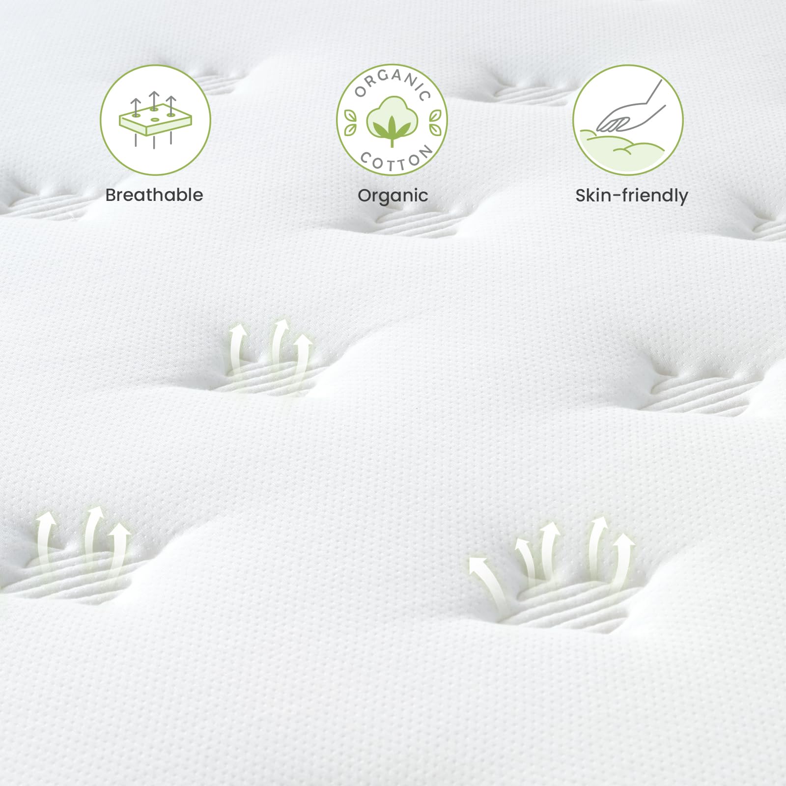 Dourxi Mattress 12 Inch, Twin XL Hybrid Mattress in a Box, Organic Cotton Fabric Cover and Individual Pocket Springs, Cooler Sleep and Pressure Relief, Plush Support Feel, 80 * 39 * 12Inch