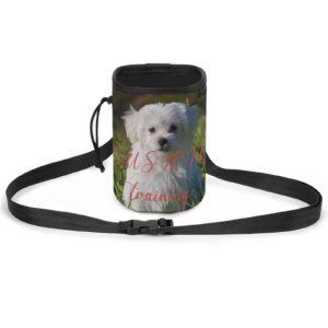 custom dog treat training pouch with photo text, personalized pet picture name treat training bag, customized dog training and behavior aids - easily carries pet toys, kibble, treats