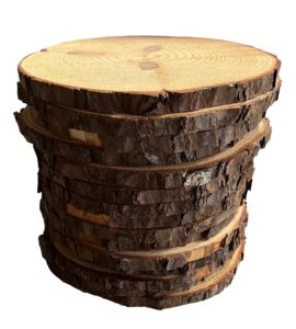 set of (14) 12-13" wood slice centerpieces for tables, rustic wedding decorations, wedding decorations for tables, natural wood slices! (14)