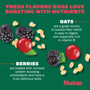 NATOO Dog Biscuits for Small Dogs & Puppies Crunchy Dog Treats, Oats & Berry Healthy Natural Dog Biscuits, Rich in Omega 6, Prebiotics & Fibers, Antioxidants for Immunity (8 oz)