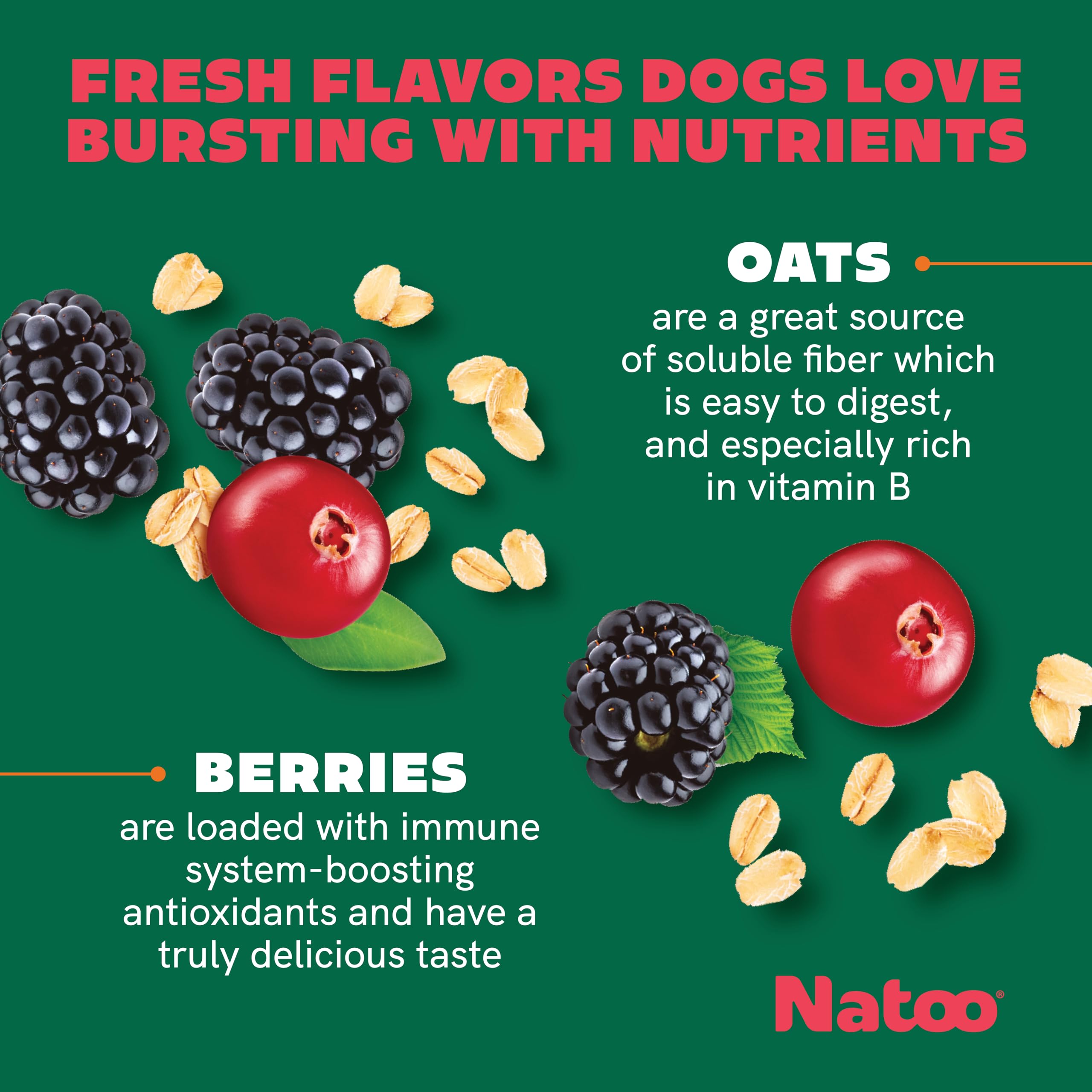 NATOO Dog Biscuits for Small Dogs & Puppies Crunchy Dog Treats, Oats & Berry Healthy Natural Dog Biscuits, Rich in Omega 6, Prebiotics & Fibers, Antioxidants for Immunity (8 oz)