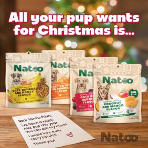 NATOO Dog Biscuits for Small Dogs & Puppies Crunchy Dog Treats, Oats & Berry Healthy Natural Dog Biscuits, Rich in Omega 6, Prebiotics & Fibers, Antioxidants for Immunity (8 oz)