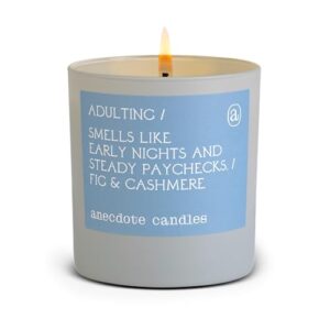 anecdote 'adulting' coconut soy wax candle jar | premium hand poured & long burning | fig & cashmere scent | phthalate-free | for home, office, gift - 9 oz