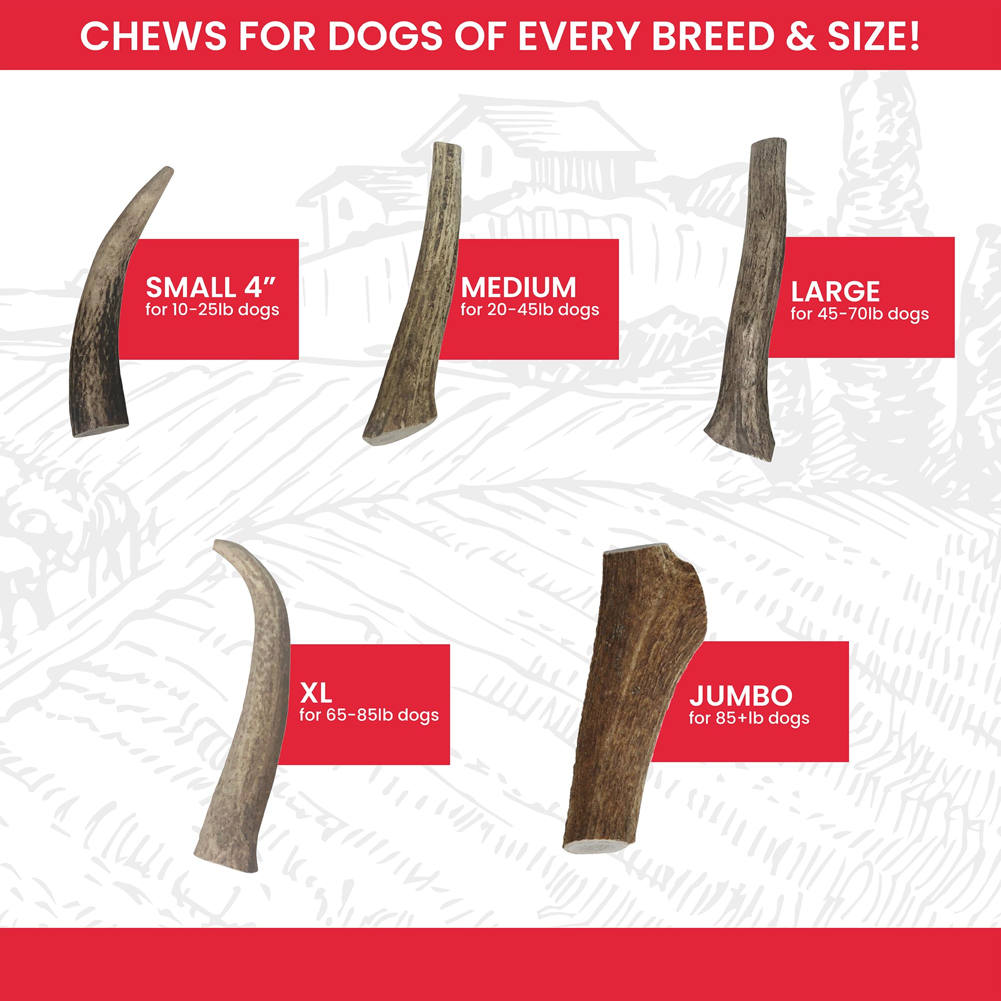 Best Chews Whole Elk Antlers for Dogs – Natural Dog Antler Chew USA Sourced Antlers for Dogs - Long Lasting Dog Antlers for Aggressive Chewers - Promotes Oral Health - Dog Elk Antlers