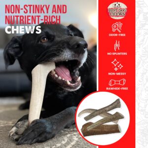 Best Chews Whole Elk Antlers for Dogs – Natural Dog Antler Chew USA Sourced Antlers for Dogs - Long Lasting Dog Antlers for Aggressive Chewers - Promotes Oral Health - Dog Elk Antlers