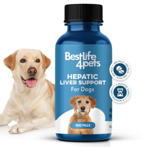 hepatic liver support for dogs - dissolvable homeopathic liver and digestive canine supplement for liver detox and nutrient absorption - 100% all natural - easy to give, free of chemicals or additives