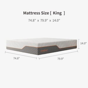 ESHINE King Adjustable Bed Frame-Luxury Gel Memory Foam(783 Pocket Springs), Bed Base Frames with Massage, Wireless Remote, USB, Under Bed Night Light, Head and Foot Incline