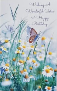 greeting card wishing a wonderful sister a happy birthday with butterfly - what an important place you hold in my life