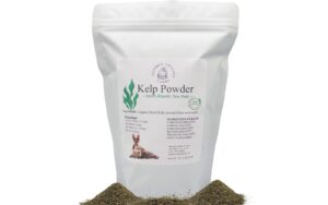 kelp powder for dogs/cats, natural north atlantic ocean sea kelp, vitamins minerals and antioxidants for ultimate health (15 ounce)