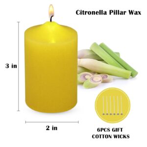 12 Pack 2x3 Inch Citronella Pillar Candles Outdoor Indoor, 22 Hours Dripless Smokeless Yellow Candles for for Home Garden Pool Porch