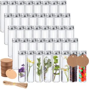 40 pcs 110 ml plastic test tubes with lids candy tubes fillable party favor 5.5 x 1.3 inch clear tube container and 100 kraft circle tag and 100 twine for scientific experiment, candy storage, plant