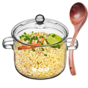 bestonzon glass cooking pot with lids 64oz (2l) glass saucepan, glass simmer pot for stovetop, clear pots for pasta noodle,soup,milk,tea, dual handles,gift spoon