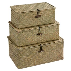 besportble set of 3 wicker shelf baskets with lid, woven seagrass storage bins for shelves for organizing, rectangular baskets for decoration, picnic, groceries and toy storage