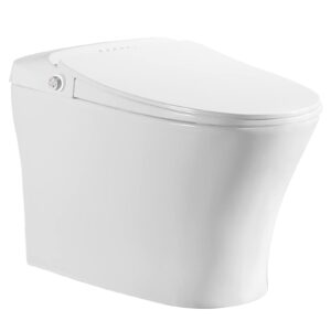 simple project smart toilet bidet, one-piece bidet toilet with warm air drying & heated bidet seat | modern smart toilet built-in bidet with led nightlight