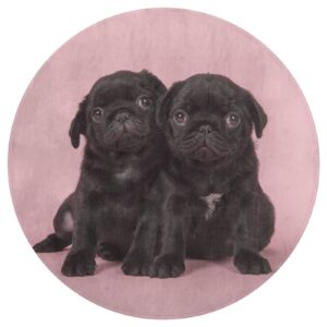 kiuloam cute black pug dog rug non-slip round area rug for bedroom living room study playing, sofa nursery carpet floor mat,80 x 80cm round