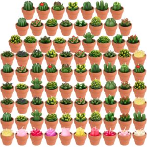 84 pcs succulent candles cactus candles with terracotta pot mini baby shower plant candles novelty handmade tealight terrarium plant candles bulk for party favor fiesta birthday wedding home decor