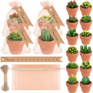 12 pieces succulent candle mini cactus tealight candles succulent party favors novelty fiesta terrarium plant candles with terracotta pot organza bag tags twine for birthday wedding baby shower party