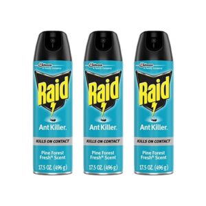 raid ant killer spray pine forest 17.5 ounce (pack of 3)