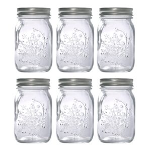 hovico mason jars 17 oz with regular lids and bands, ideal for jam,dishwasher safe mason jar for fermenting, kombucha, kefir, storing and canning uses, clear- set of 6