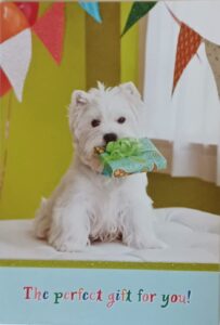 greeting card a year full of god's goodness and daily blessings to enjoy religious christian happy birthday with west highland white terrier westie dog