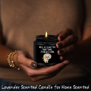 Homsolver Get Well Soon Gifts for Women Men After Surgery Gifts,Feel Better,Cheer up,Inspirational Gifts,Lavender Scented Candles Gifts for Friend,Family