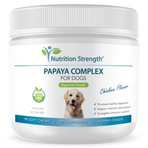 nutrition strength papaya for dogs digestive enzyme complex to support normal intestinal function, boost immunity, with organic papaya fruit + papain, protease & amylase, 90 soft chews