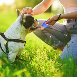 Dog Training Clicker with Whistle and Wrist Strap - Positive Behavior Reinforcer for Pets - All Ages, Puppy and Adult Dogs - Use to Reward and Train - Dog Whistle Included (Blue)