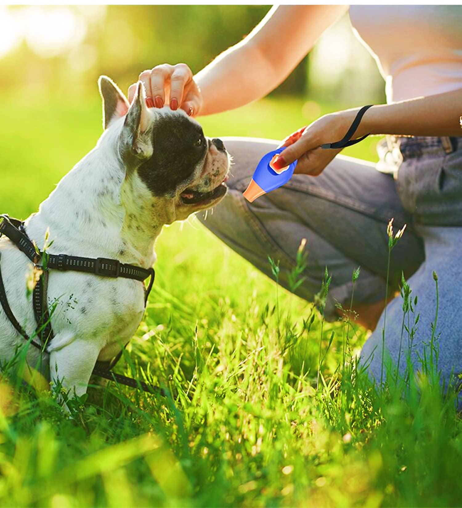 Dog Training Clicker with Whistle and Wrist Strap - Positive Behavior Reinforcer for Pets - All Ages, Puppy and Adult Dogs - Use to Reward and Train - Dog Whistle Included (Blue)