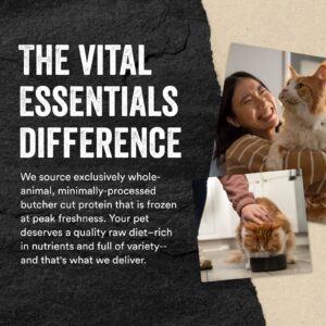 Vital Essentials Freeze Dried Raw Cat Treats, Rabbit Bites, 0.9 oz