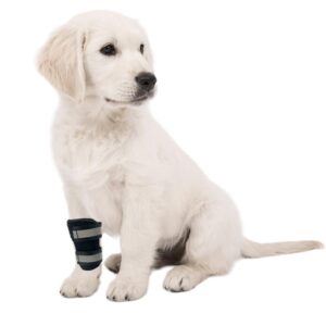 dog leg brace, rear ankle compression wrap, used for supporting injuries and sprains, wound care, stability loss due to arthritis(size: xs)