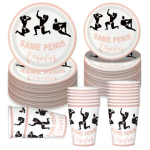 bachelorette party plates naughty, bachelorette party decorations plates cups bachelorette party decorations favors sets, male dancer bachelorette plates, bridal shower supplies, hen party sign