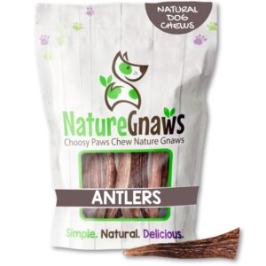 nature gnaws antlers tips for small dogs (1lb) - mix of elk and deer antler - variety of short 2-4 inch split and whole pieces