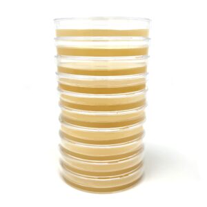 olympus myco malt yeast extract agar plates (mya) - 10 sterile prepoured petri dishes for mushroom cultivation & science projects - now with improved packaging