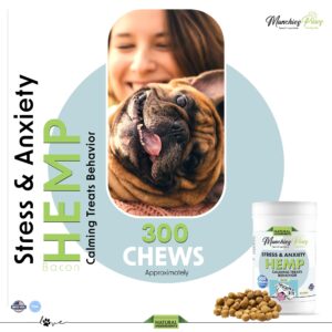 Munchies Paws Dog Treats Stress Relief Made in USA Stress and Anxiety Organic Hemp 300 Count (Bacon)