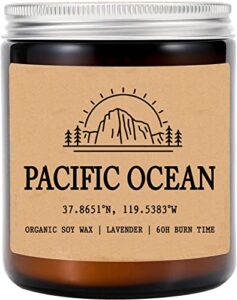 pacific ocean - california scented candle - organic soy wax - gift for her - gift for him - new home gifts - birthday gift for friend - national park gifts - state candles