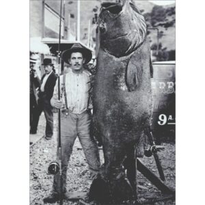 avanti press man posing with giant black sea bass vintage photograph funny/humorous america collection birthday card for man/him