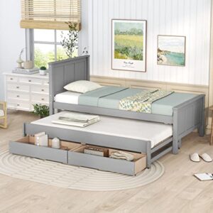 twin size platform bed with trundle and 2 storage drawers, wooden twin daybed with slat support, modern twin trundle bed frame for bedroom, guest room, living room (twin, gray)