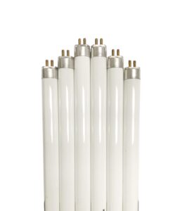 (6 pack) antares t5 21w 3000k 34" fluorescent lamp (3000k, 21-watt)