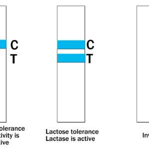 2Pcs Lactose Intolerance Test Strips at Home for Adult and Kid Lactase Activity Test Food Sensitivity Test