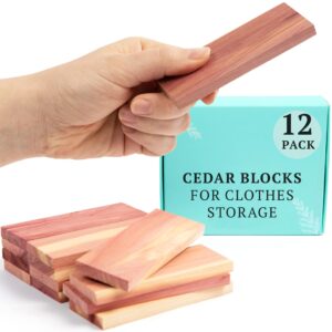 12 hanging cedar blocks for clothes storage -cedar hangers for closet - cedar chips for closets and drawers - hanging for protecting clothes closet - cedar hanger & balls for clothes