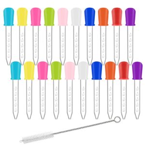 20 pack pipettes dropper liquid droppers 5ml clear eye dropper silicone and plastic water droppers with bulb tip and clean brush