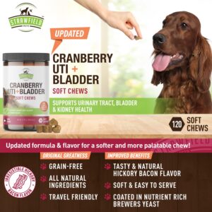 Strawfield Pets' Cranberry UTI + Bladder Soft Chews Cranberry Supplement for Dogs Urinary Tract - Bacon Flavor 120 Chews