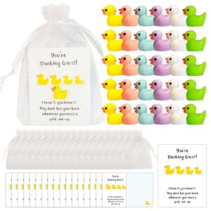 artreeiger 30 sets inspirational gift include you're ducking great cards thank you gifts funny cards mini resin ducks organza bags bulk for students coworkers employee appreciation gifts pocket favors